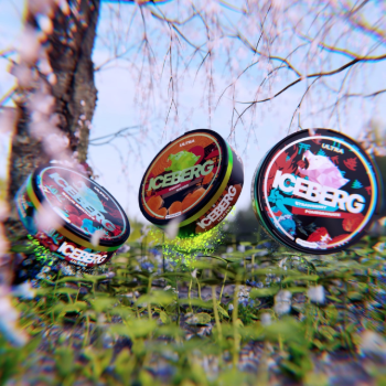 Iceberg Snus online kaufen - mit gratis Versand